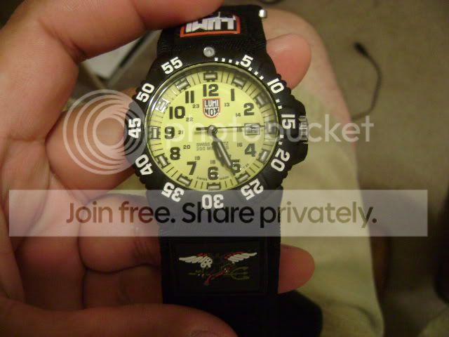 Fs: Luminox evo navy seal (yellow dial) on velcro .........brand new ...
