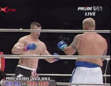 [Image/GIF]Cro Cop's axe kick against Pat Barry at UFC 115 : r/MMA